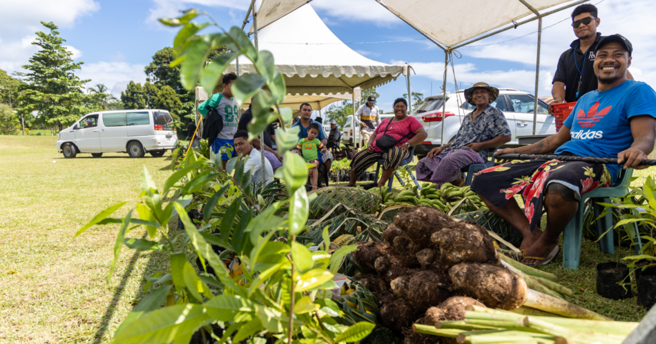Samoa Observer | Catch and release