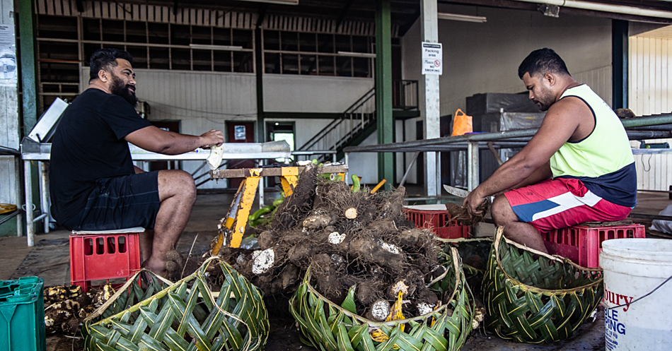 Samoa Observer | August trade deficit hits $72 million