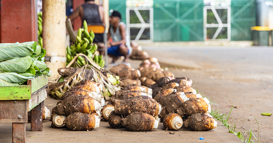 Samoa Observer | Agricultural produce supply dropped in November