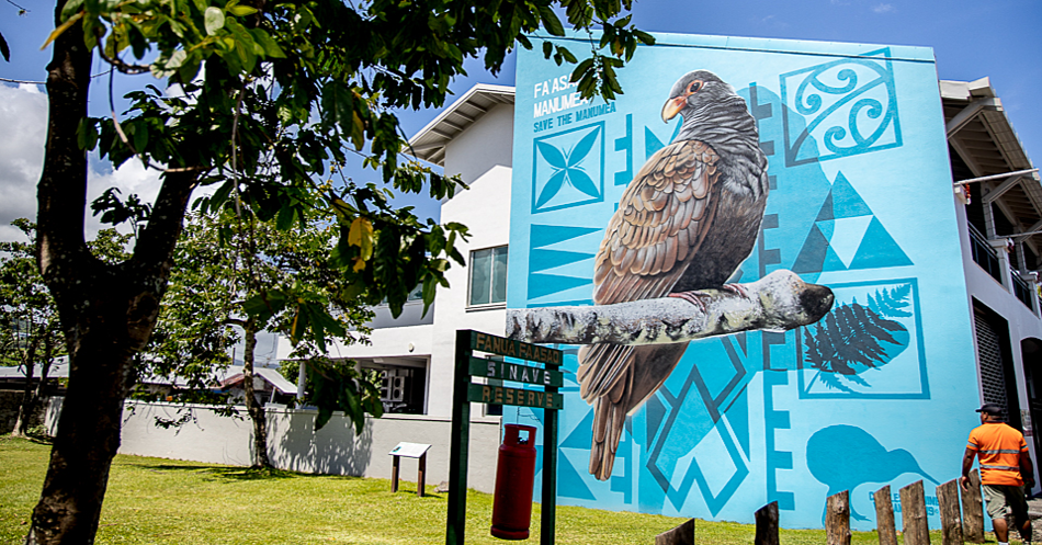 Samoa Observer | Recorders, cameras in manumea pursuit