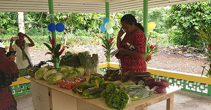 Samoa Observer | Tala fa’asolopito o Samoa mai le amataga - EKALESIA