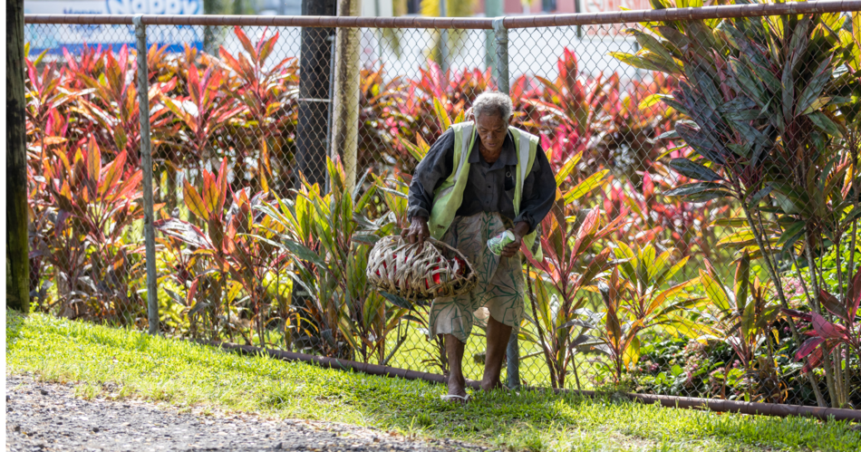 Samoa Observer | For the love of Samoa