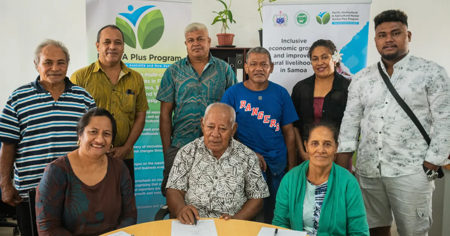Samoa Observer | Ava farmers pounding their way to success