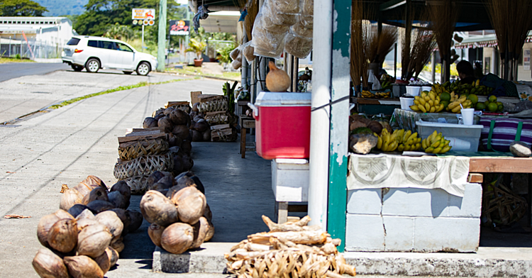 Samoa Observer | O TAEAO FAITAUINA O SAMOA –O TAEAO O LE TALALELEI-Mai