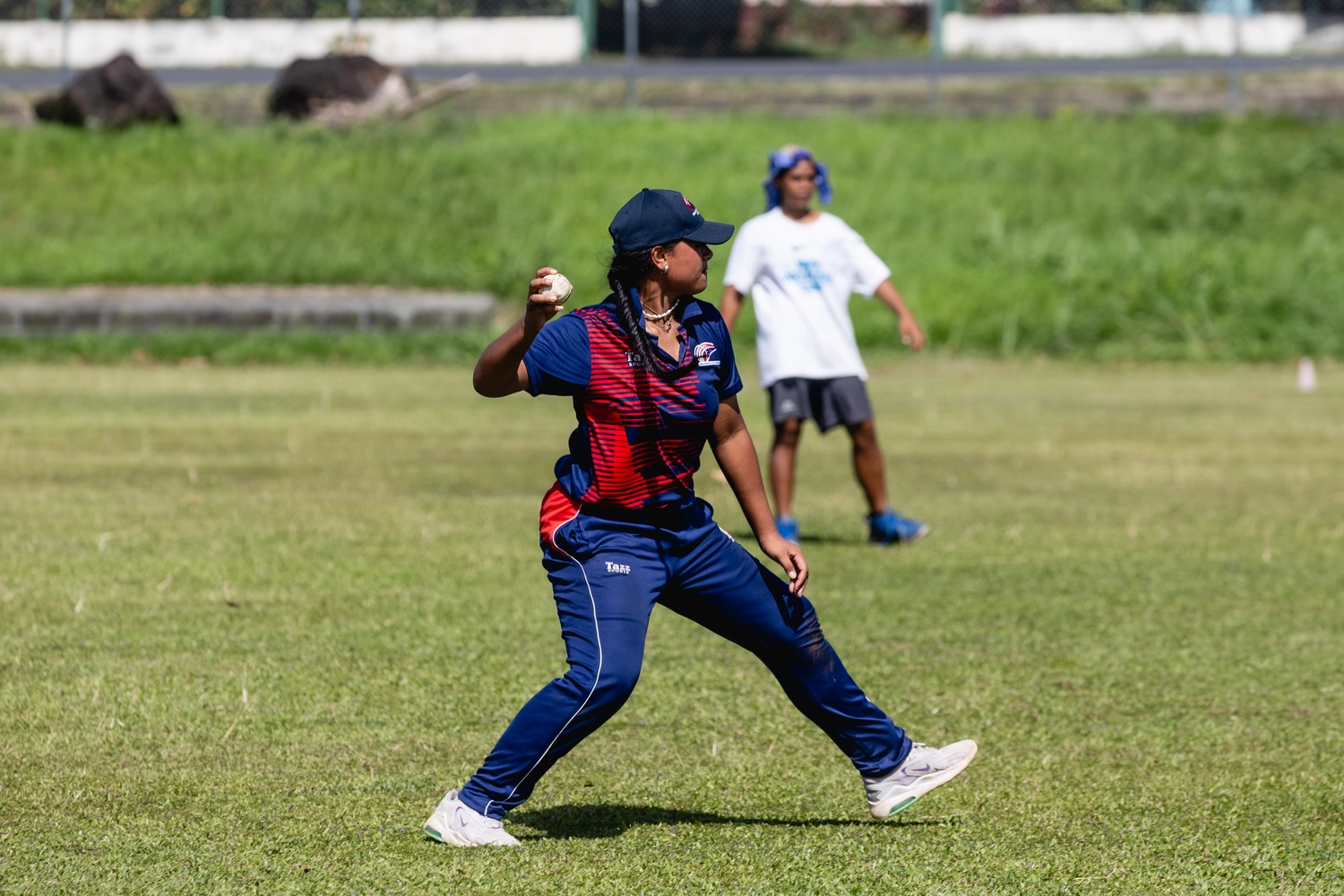 Samoa Observer | Between the Lines