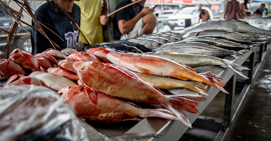 Samoa Observer | Exports plunge 70 per cent