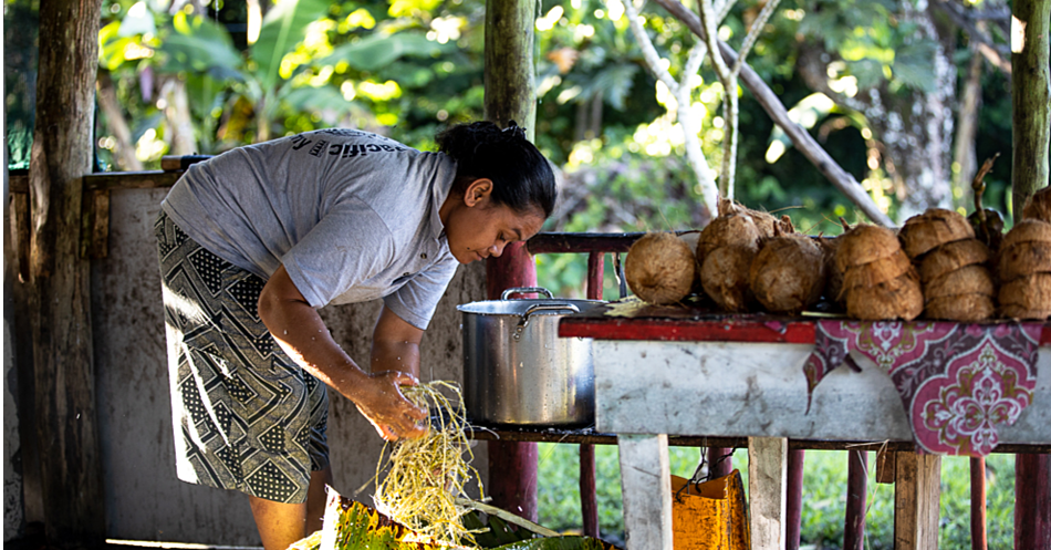 Samoa Observer | Overseas Samoans to "Future Proof" the country