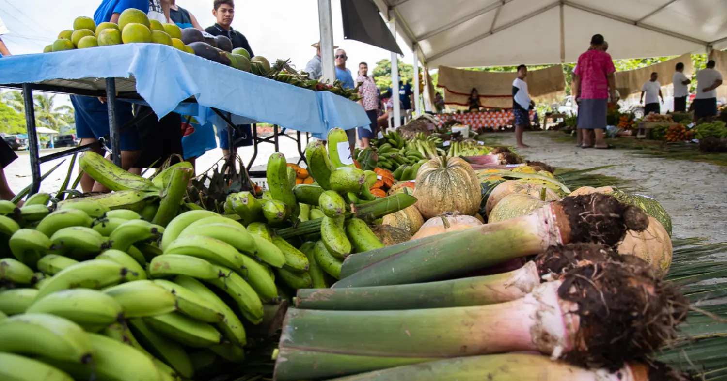 Samoa Observer | Agricultural produce drop in March