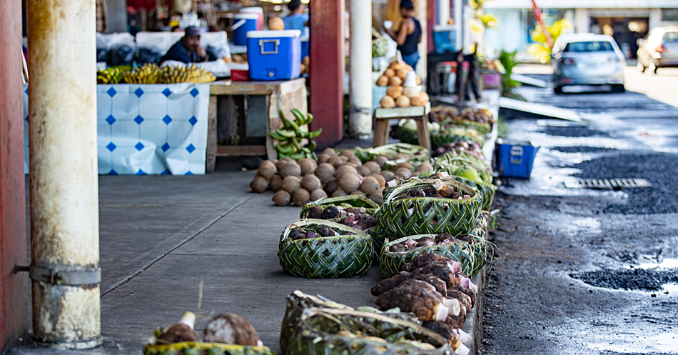 Samoa Observer | Taro export escape COVID-19 wrath