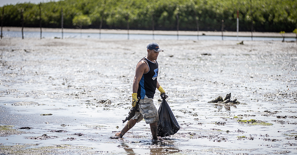 Samoa Observer | Villagers replant, clean mangroves in response to