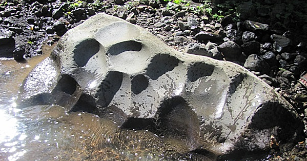 Samoa Observer | Moataa mangrove project launched