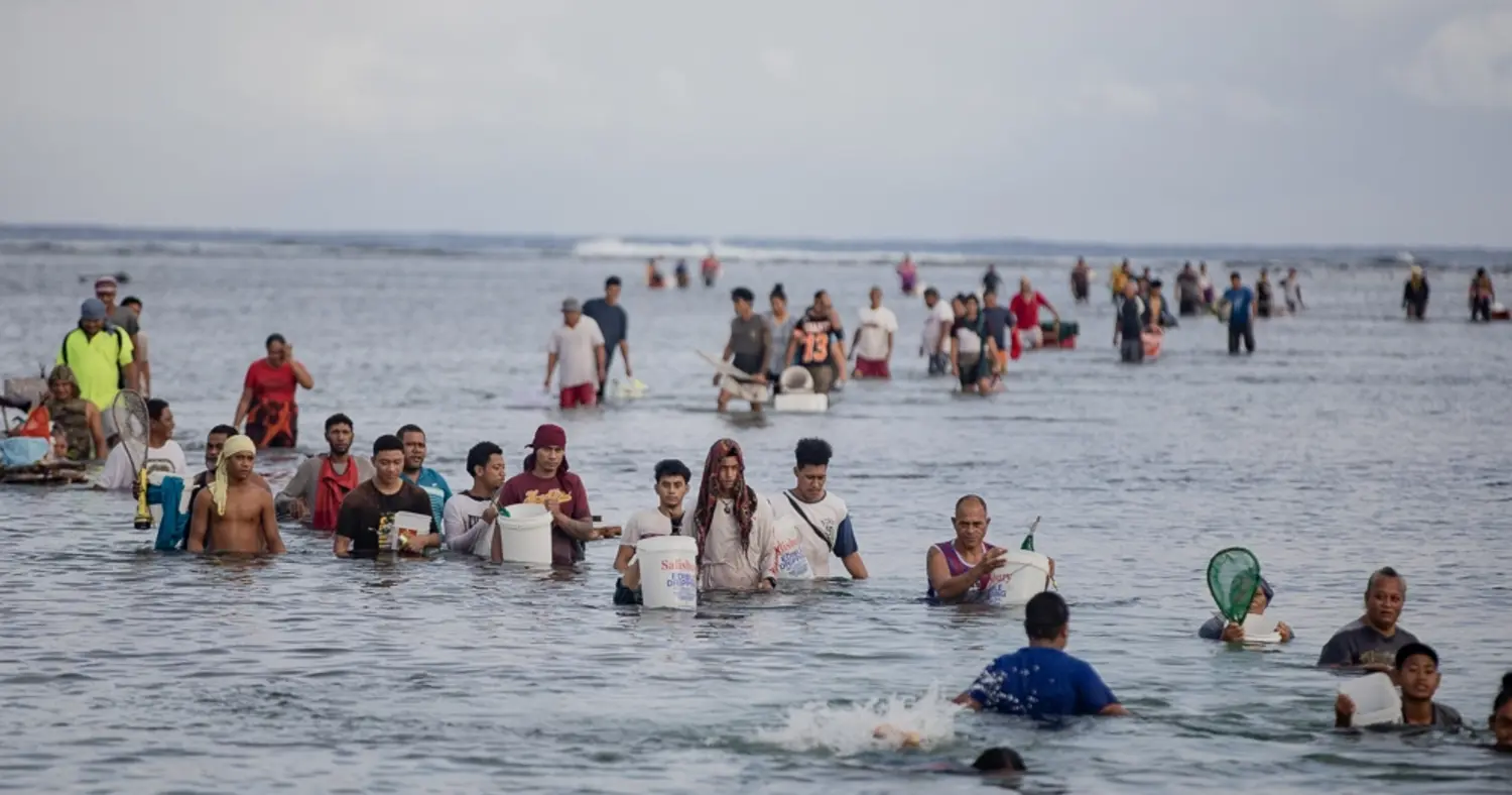 Samoa Observer | Its palolo time in Samoa