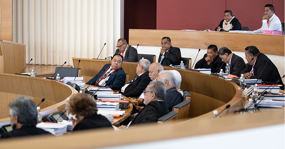 Samoa Observer | "Leader of the House" and what the Constitution says