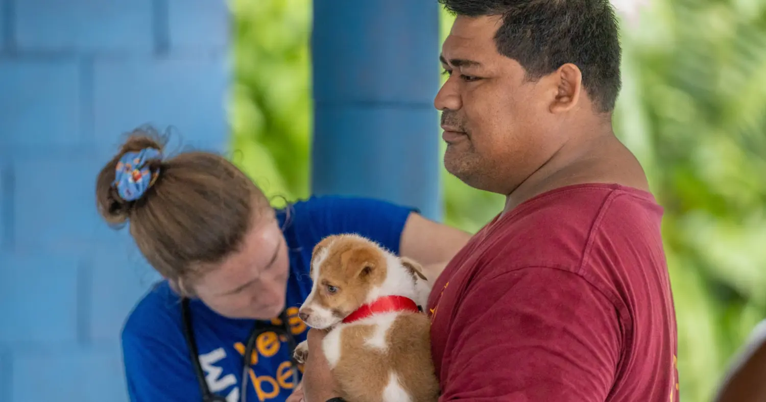 Samoa Observer | Pet owners make most of Vailoa clinic