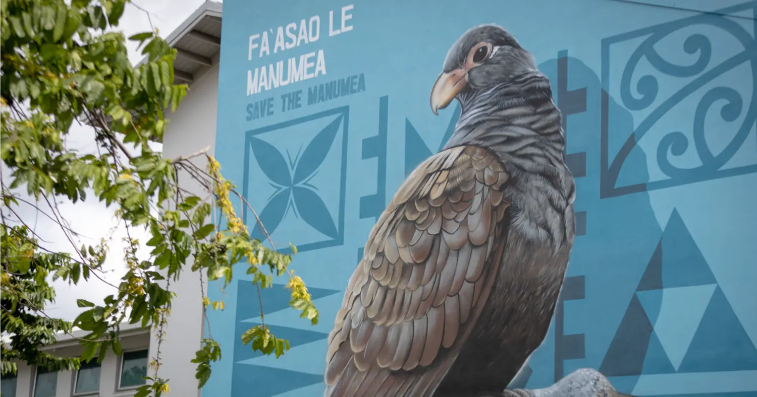 Samoa Observer | Manumea remains elusive