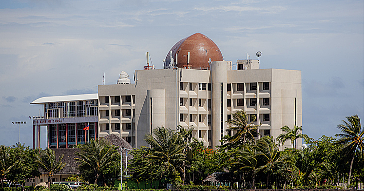 Samoa Observer | Samoa develops new sheep breed