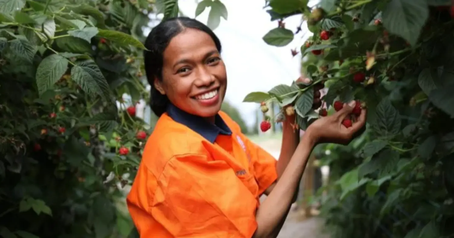 Samoa Observer | RSE policy changes: Timor-Leste joins; employers’