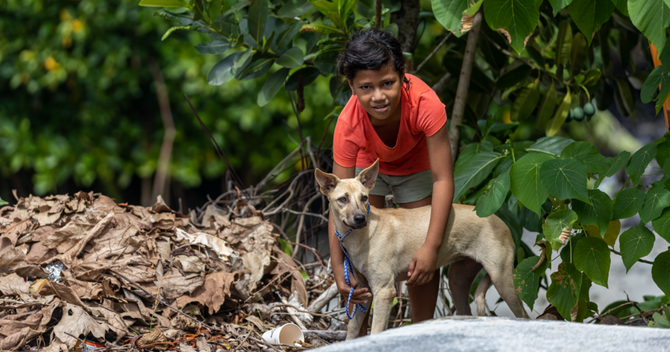 Samoa Observer | Public call for equality for all dogs