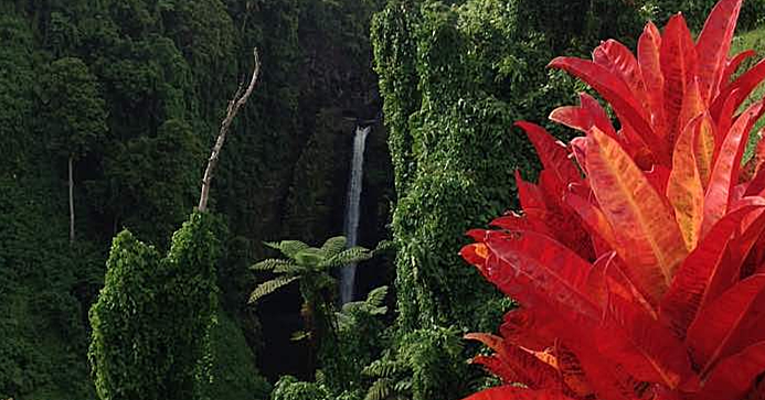 Samoa Observer | E-book on ecotourism activities to be launched