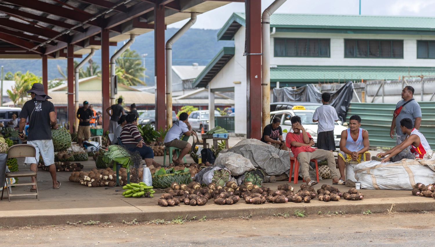 Samoa Observer | Boosting domestic agriculture in Fiji, Samoa, and
