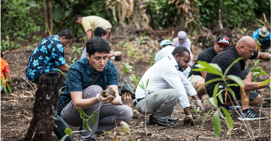 Samoa Observer | Two million tree milestone reached: Govt.