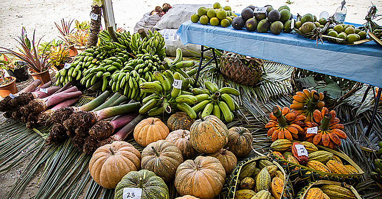 Samoa Observer | Agricultural produce supply dropped in June