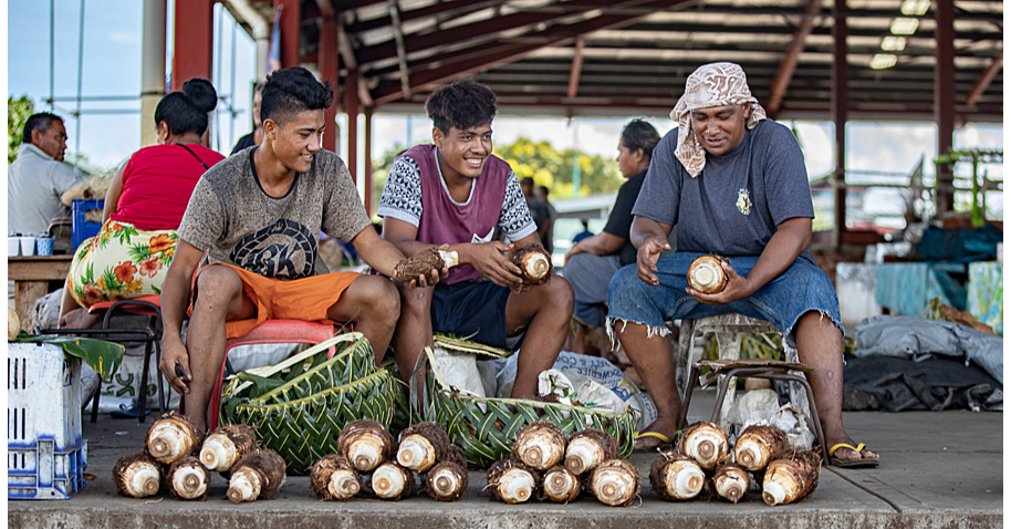 Samoa Observer | Farmers say Samoa has more than enough supplies