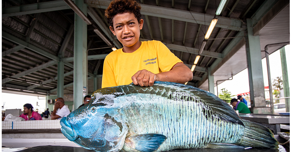 Samoa Observer | Savalalo market fish sellers reap profits