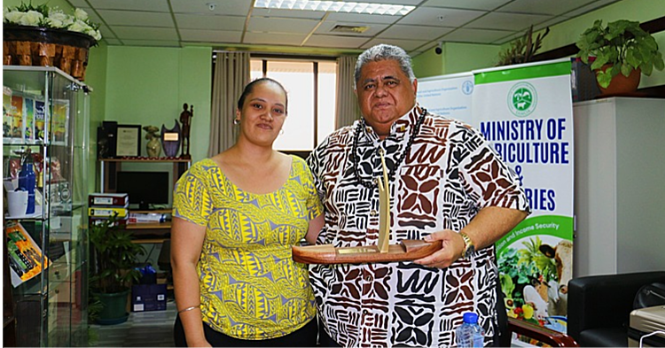 Samoa Observer | Samoa develops new sheep breed