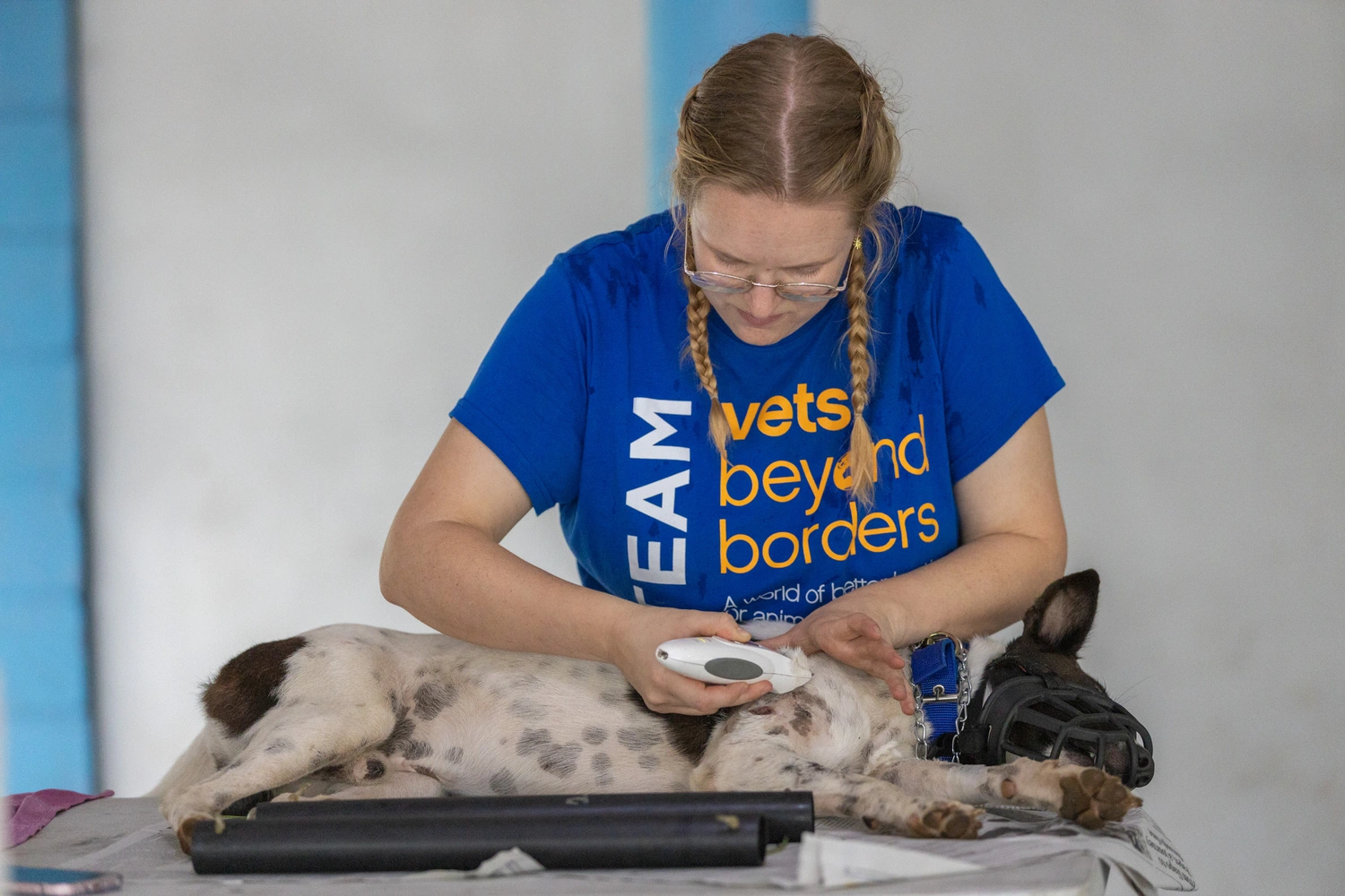 Samoa Observer | British vet enjoys month stint with A.P.S.