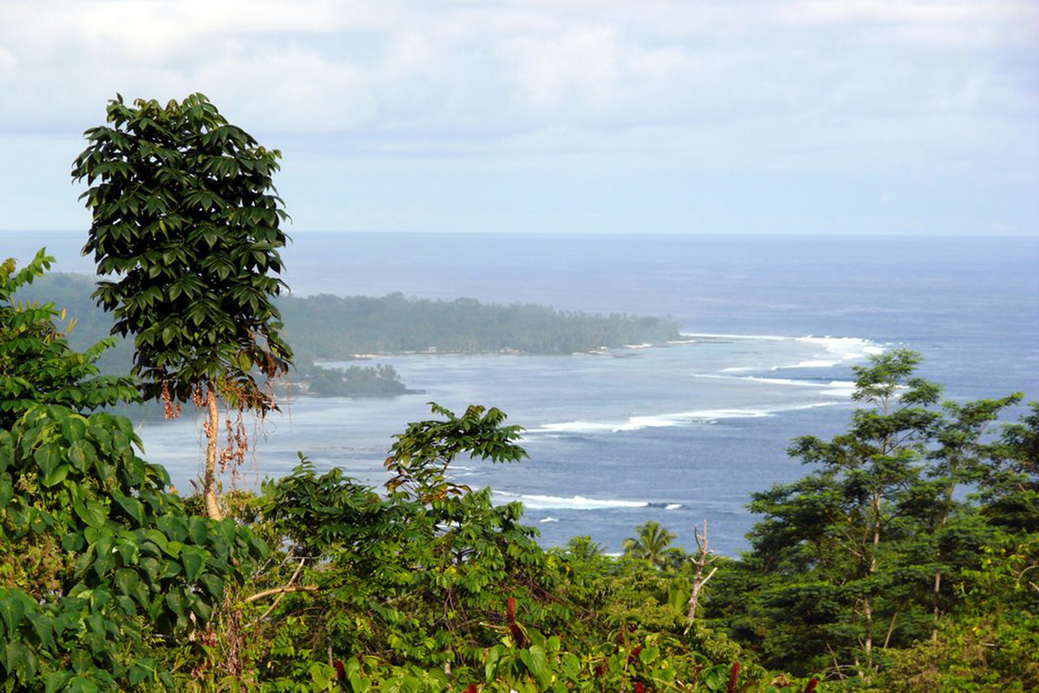 Samoa Observer | TALATU’U O FALEVAI I FALELATAI