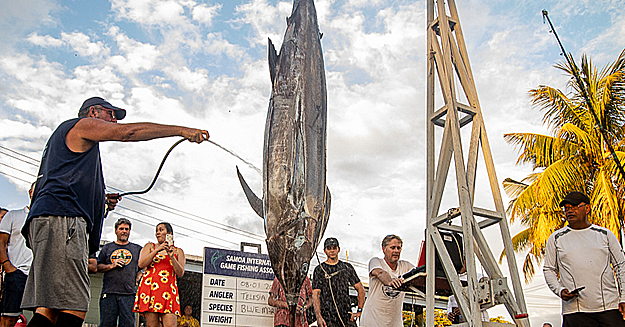 Samoa Observer | SIGFA "Fish to the Max" Legends tournament underway