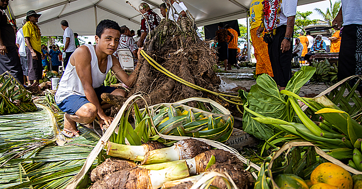 Samoa Observer | Farmers of Savaia, Lefaga show fruits of the land