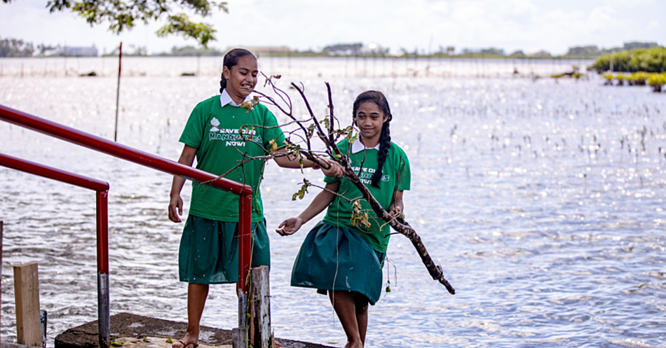 Samoa Observer | New plan to protect Vaiusu's mangroves