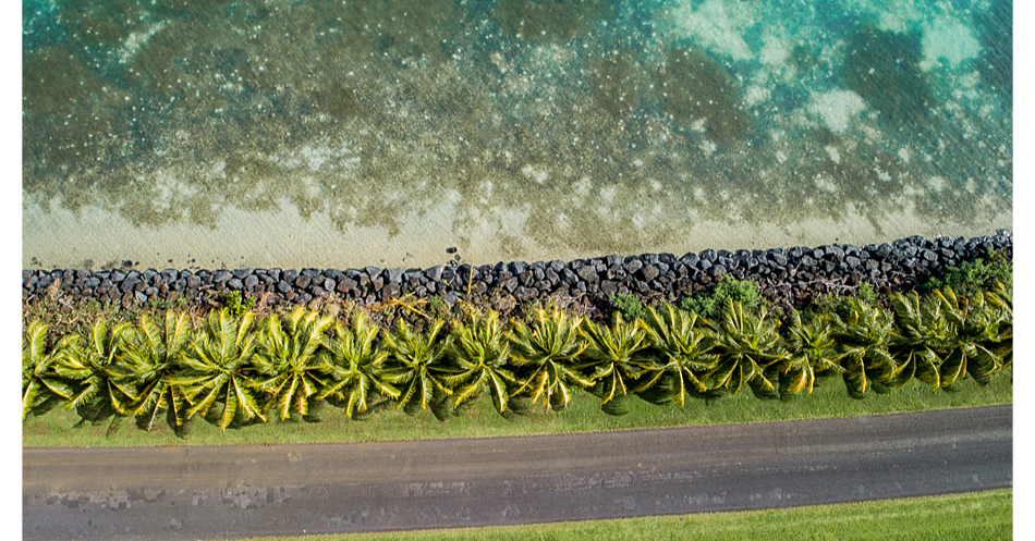 Samoa Observer | Environment must be central to coronavirus recovery: