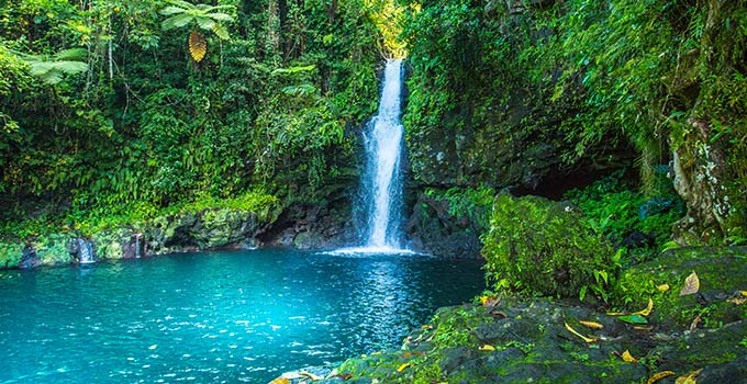 Samoa Observer | One thousand acres land in Palauli Savai’i on sale