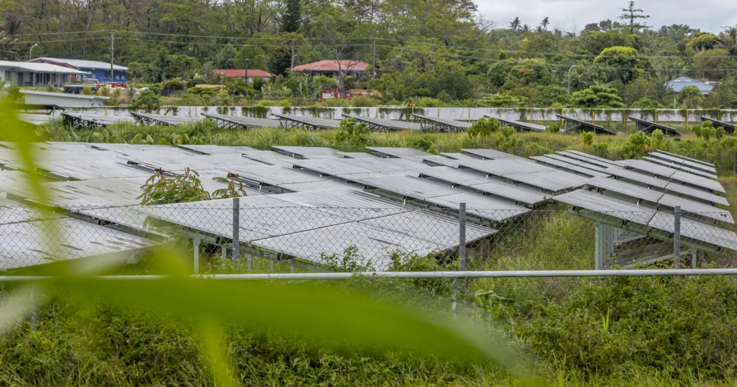 Samoa Observer | Between the Lines