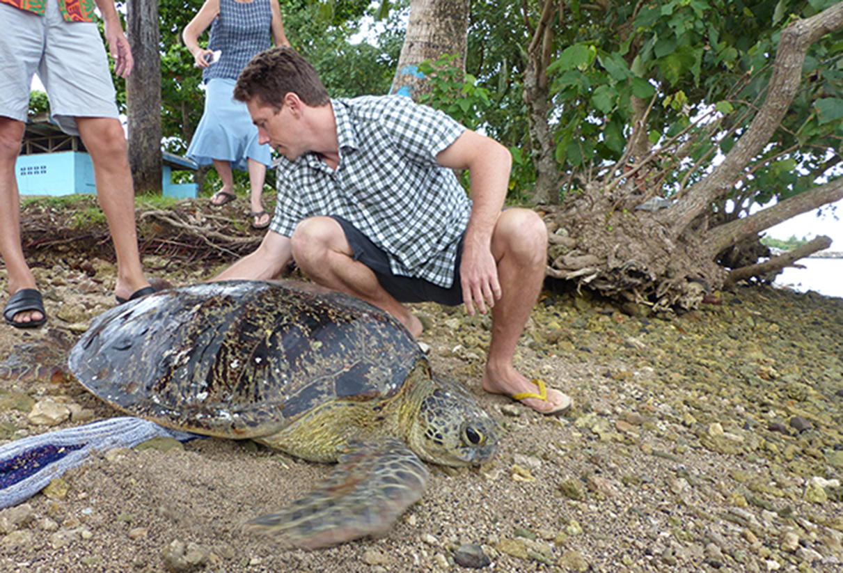 Samoa Observer | Helping our ocean’s gentle, shy and harmless giant