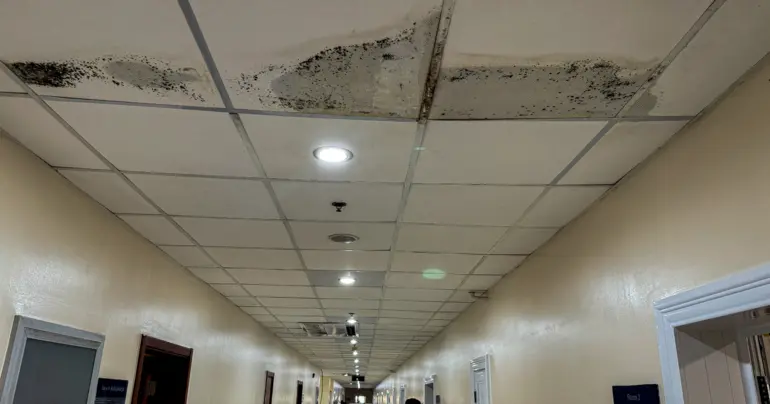 Samoa Observer | German museum returns taken 'measina'