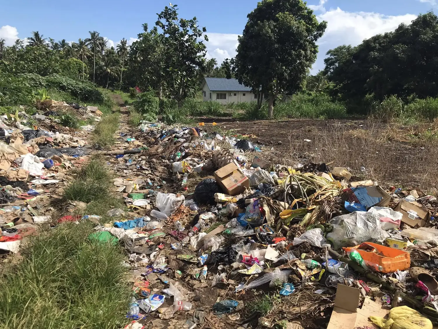 Samoa Observer | Toamua-Uta man irked by rubbish dumped on his land.