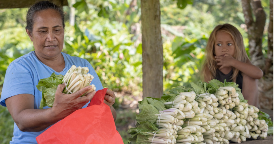 Samoa Observer | Vegetable market smoothen impact of rising costs