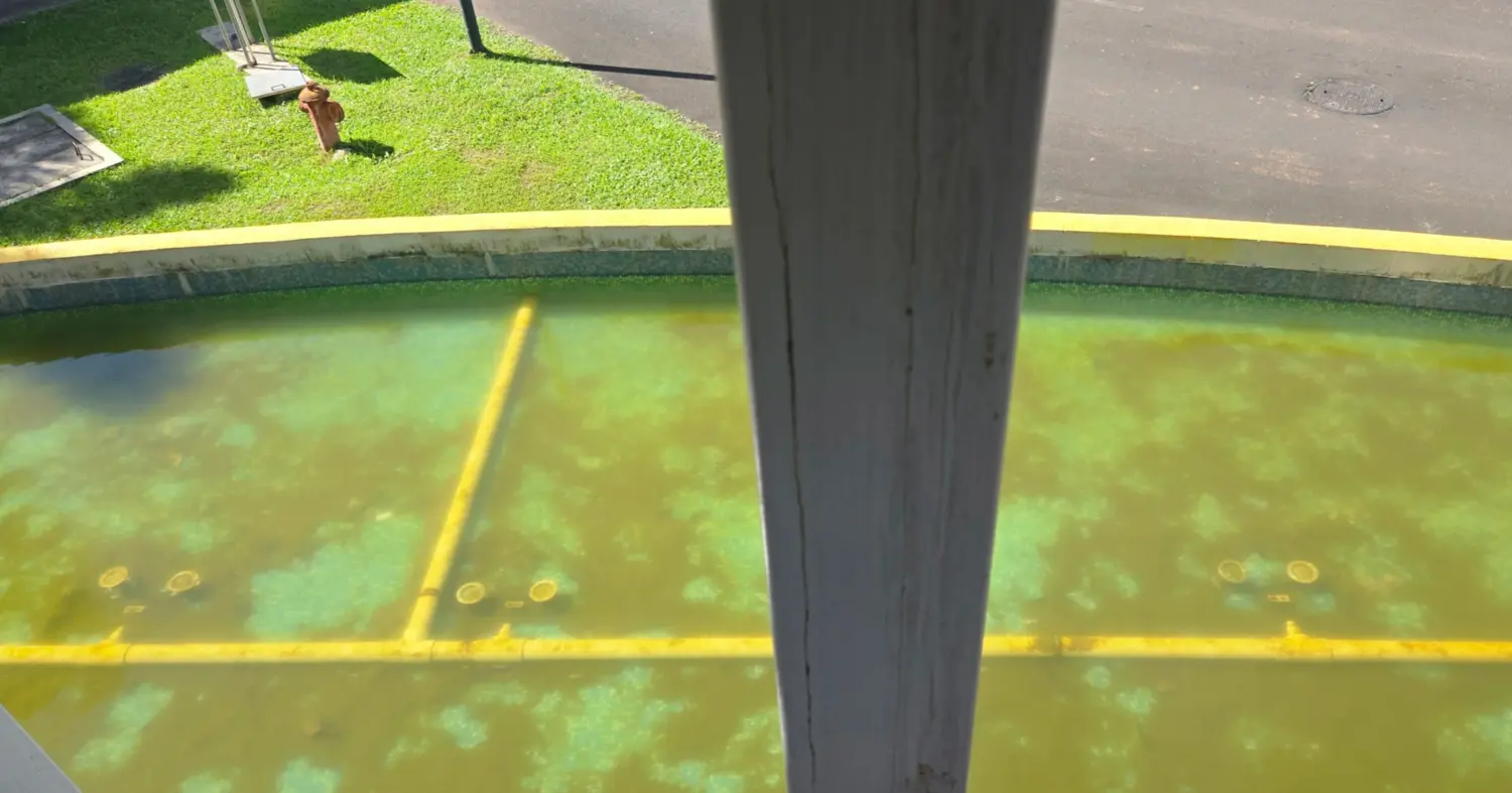 Samoa Observer | Algae-infested water surrounds govt. complex