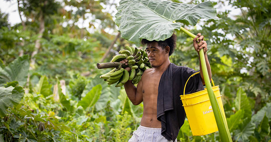 Samoa Observer | Agricultural innovation more important than ever: