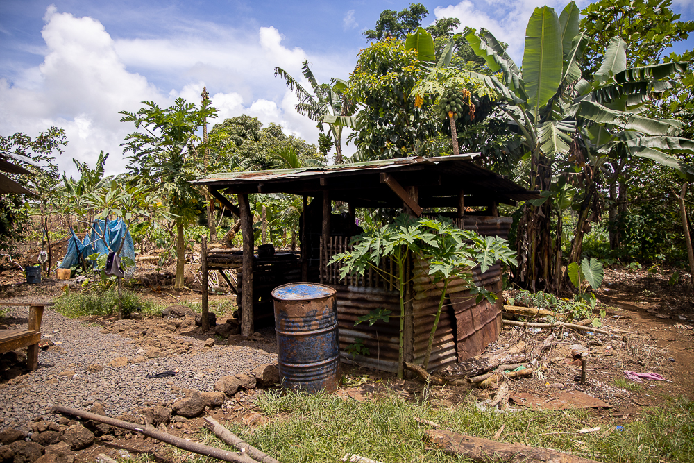 Samoa Observer | Family's struggle with forces of nature