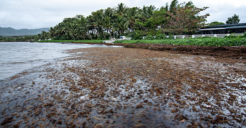 Samoa Observer | Island expansion cannot mask climate change: