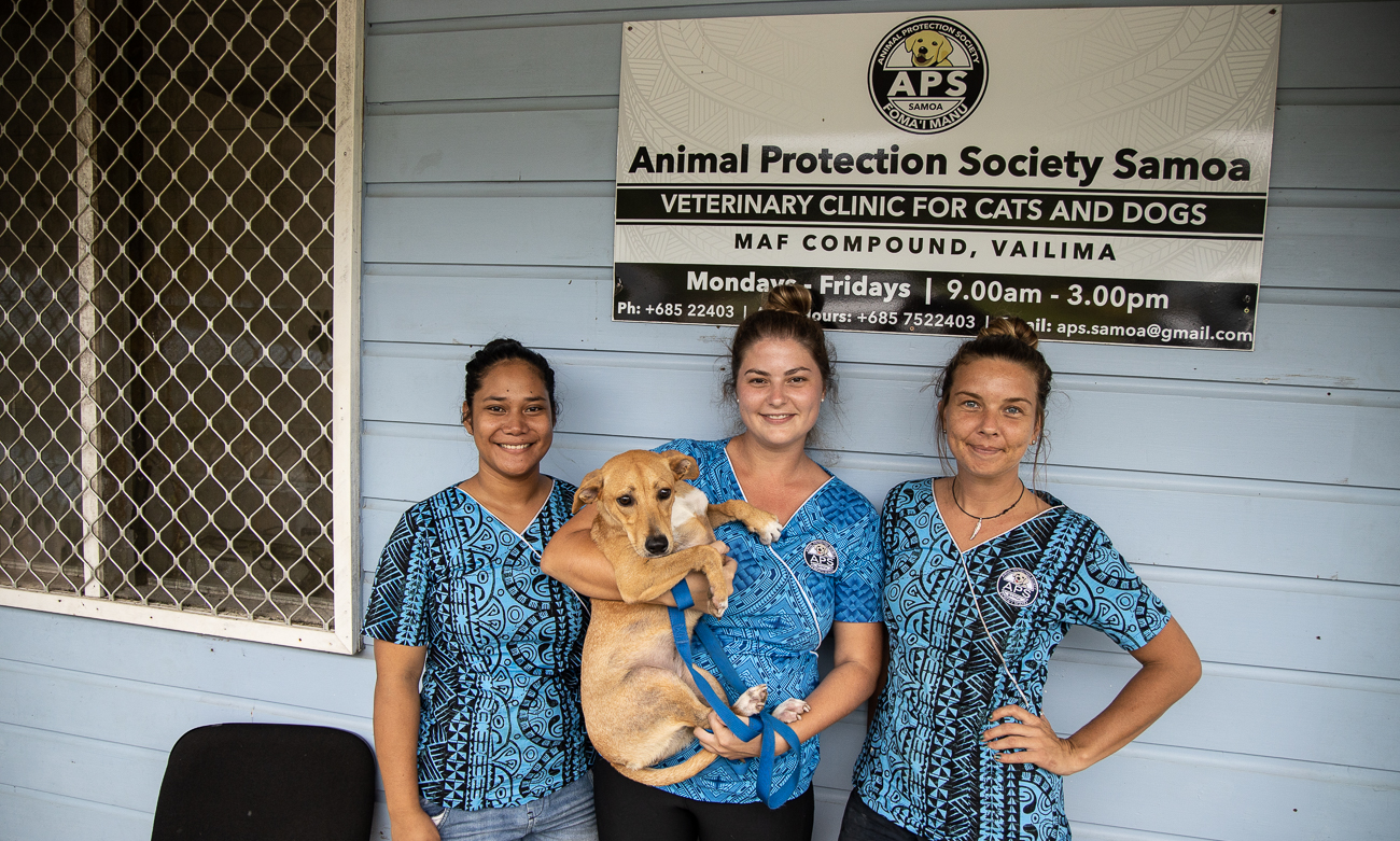 Samoa Observer | Animal Protection Society pleased with year's work