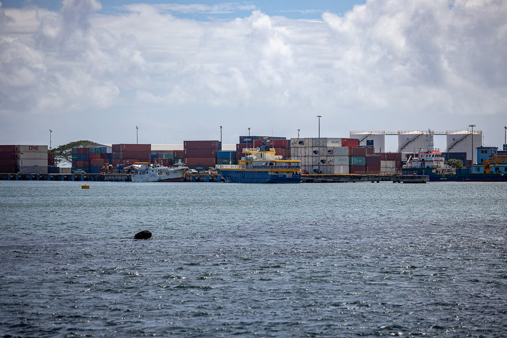 Samoa Observer | Apia Port clears 170 vessels despite pandemic