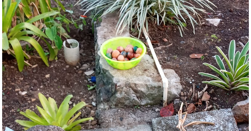 Samoa Observer | Easter-egg-hunt at Campus of Hope