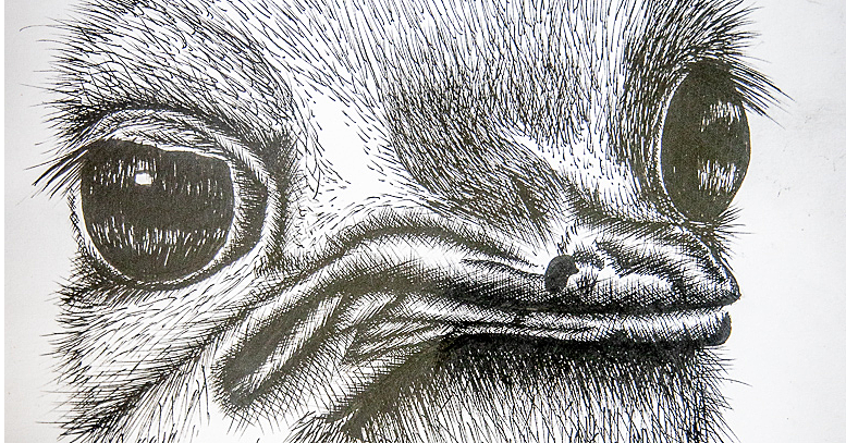 Samoa Observer | Zoo plan revives sad memories for Magic Circus of