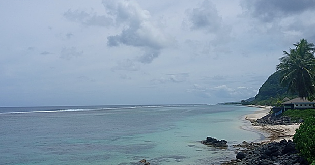 Samoa Observer | Beach fale owners transition to farming life